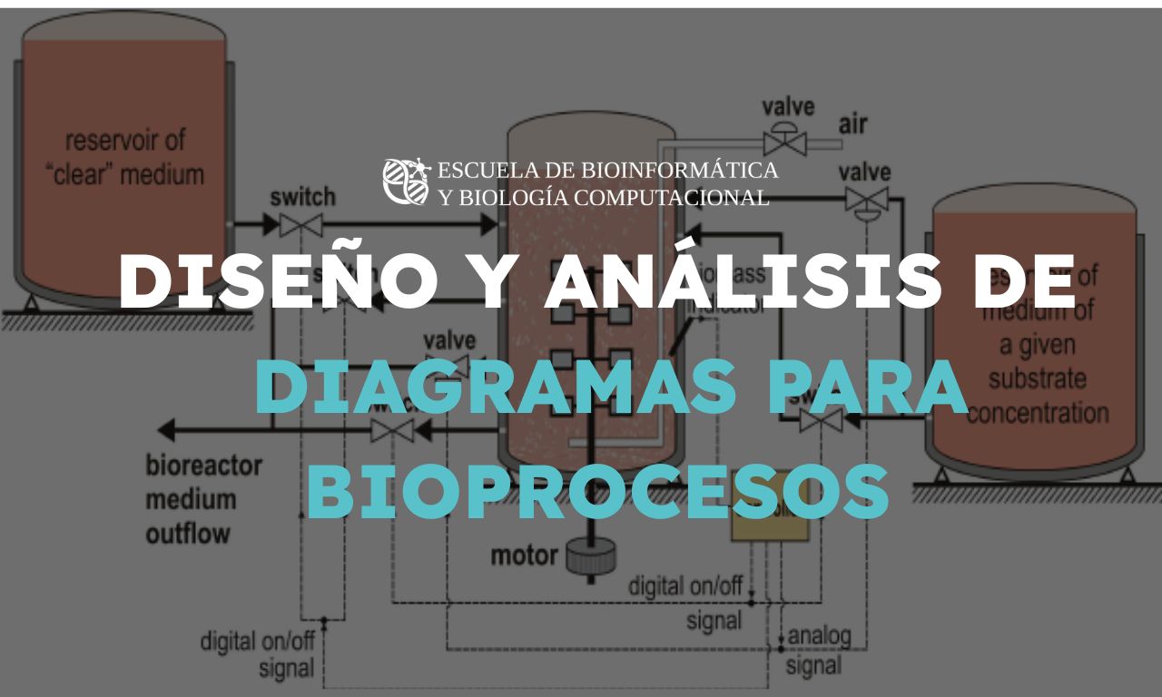 Curso de Diseño y análisis de Diagramas para Bioprocesos – Conociverso